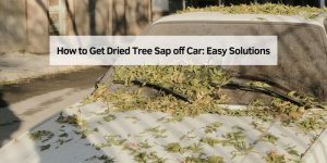 How to Get Dried Tree Sap off Car: Easy Solutions