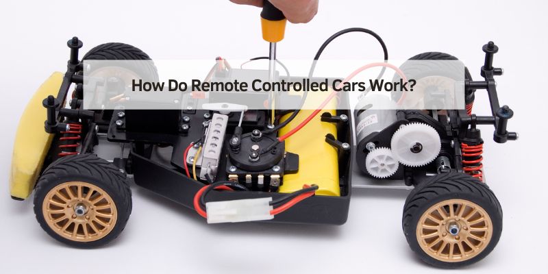 How Do Remote Controlled Cars Work? – The Daily Automotive